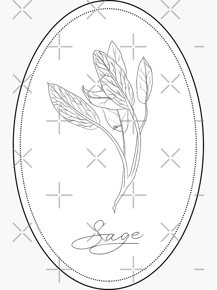 "Sage " Sticker by rsullivanart | Redbubble