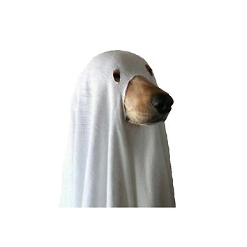 "Ghost Dog Meme" Poster for Sale by sketchytaiyaki | Redbubble