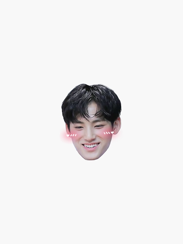 "kim mingyu" Sticker by staygoldisak | Redbubble