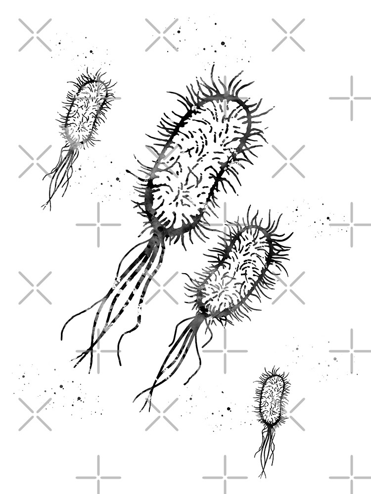 "Escherichia coli" by erzebetth | Redbubble