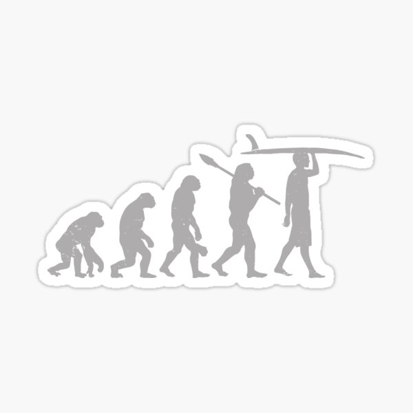 "Vintage Surf Evolution Sticker" Sticker by TonySpencer | Redbubble