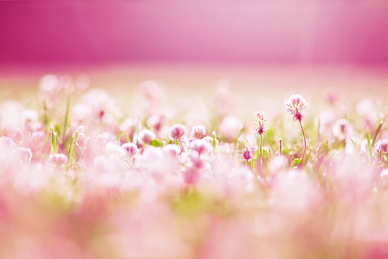 "Pink Bokeh" by Sharon Heiz | Redbubble