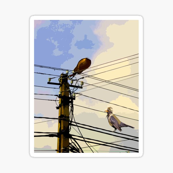 "A Quick Flying Break" Sticker for Sale by euphorichords | Redbubble