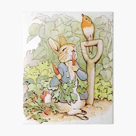 "Peter Rabbit eating carrots" Art Board Print by AmyOlsen | Redbubble