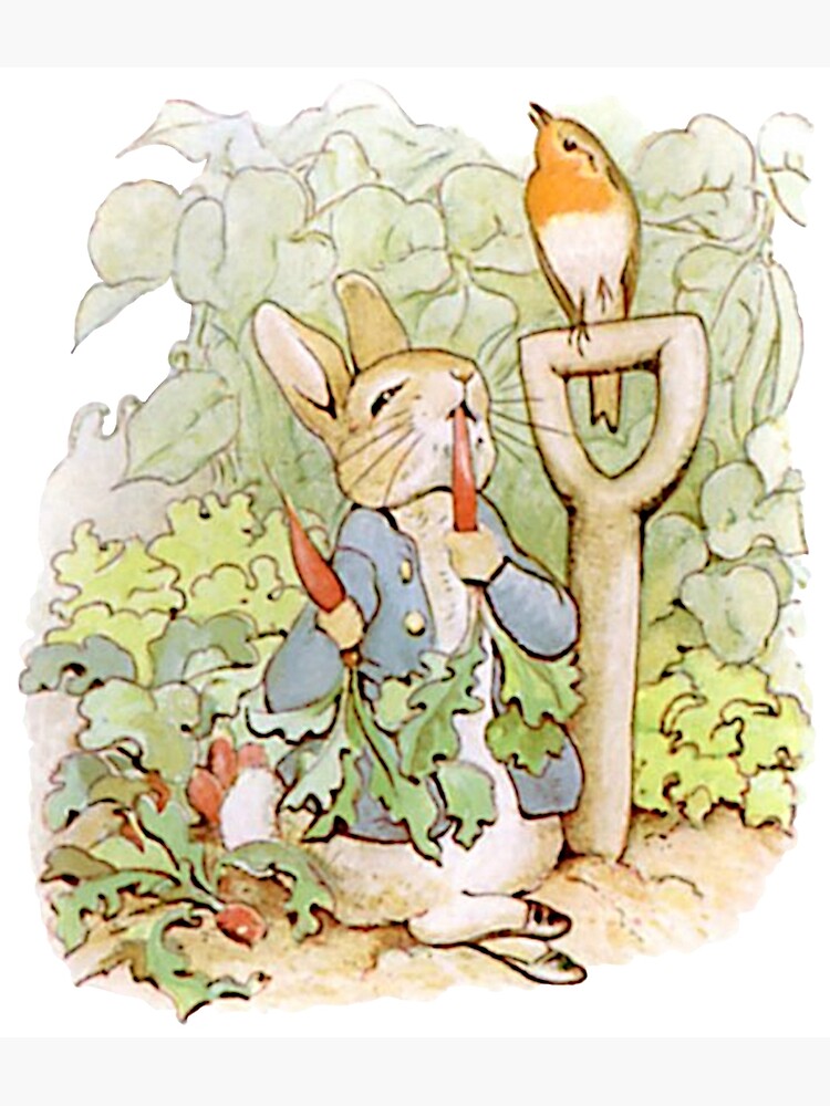 "Peter Rabbit eating carrots" Framed Art Print by AmyOlsen | Redbubble