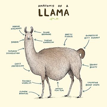 "Anatomy of a Llama" Poster for Sale by SophieCorrigan | Redbubble