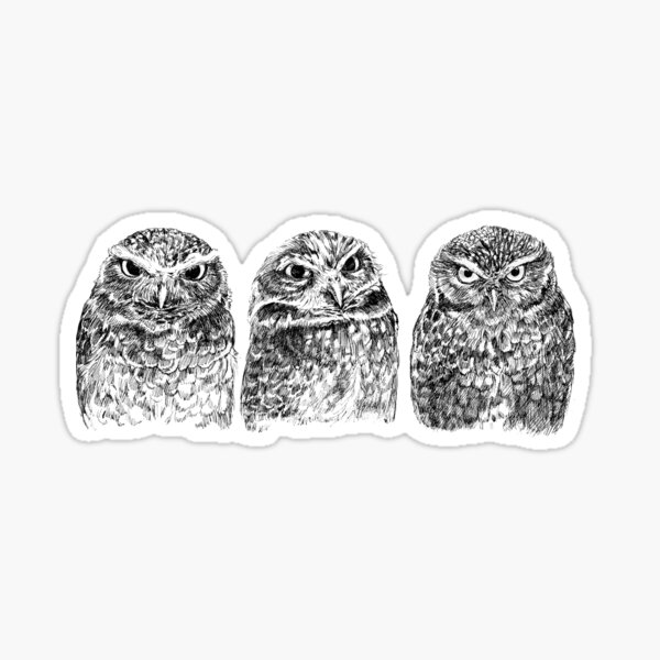 "Angry owlets - el buono el brutto el cattivo " Sticker by Redilion ...