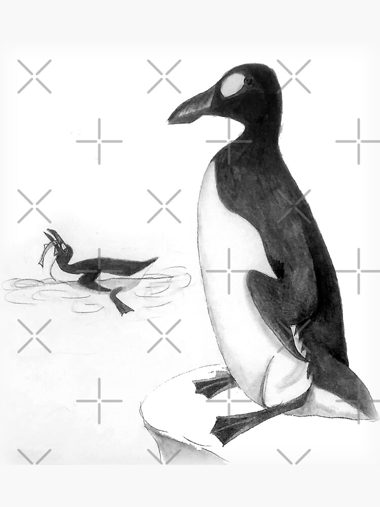 "Great auk - Pinguinus impennis, Pencil drawing by Karolina ...