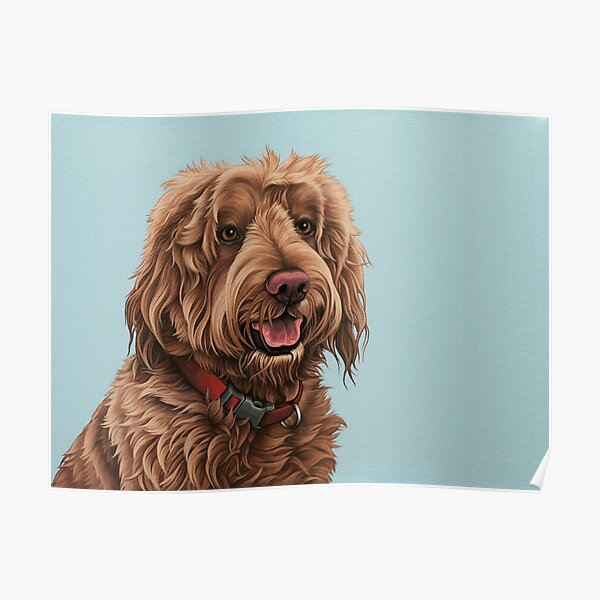 Póster «Retrato sonriente del perro de Labradoodle, arte feliz del ...