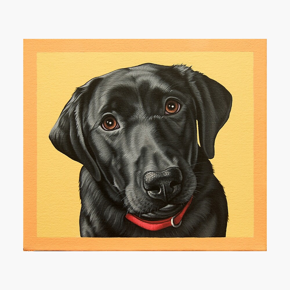 Black Lab Portrait Painting