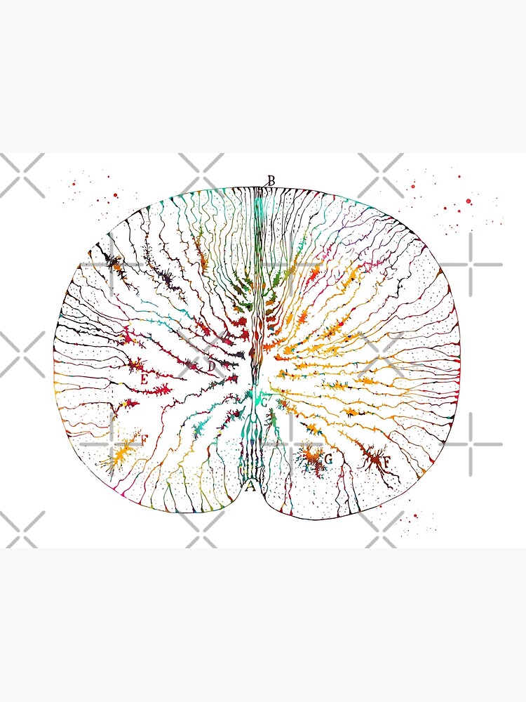 "The Beautiful Brain " Art Print by erzebetth | Redbubble