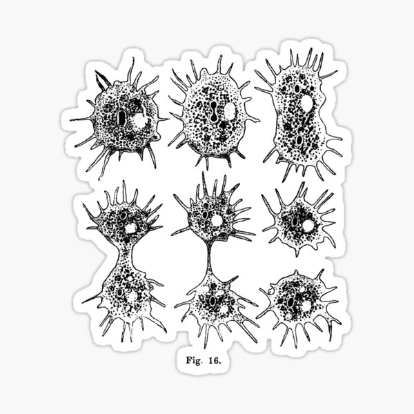 "Germs - dark version" Sticker for Sale by geum | Redbubble