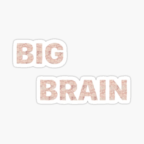 "BIG BRAIN" Sticker for Sale by emilyaronn | Redbubble