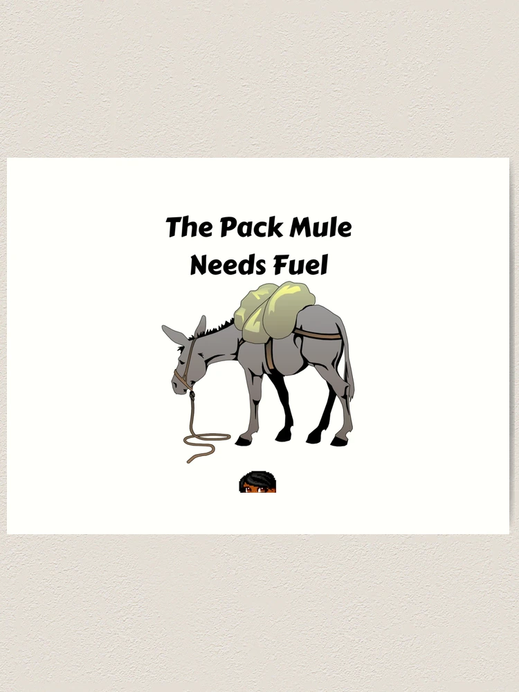 Pack Mule Memes Funny Pictures: Funny Mule