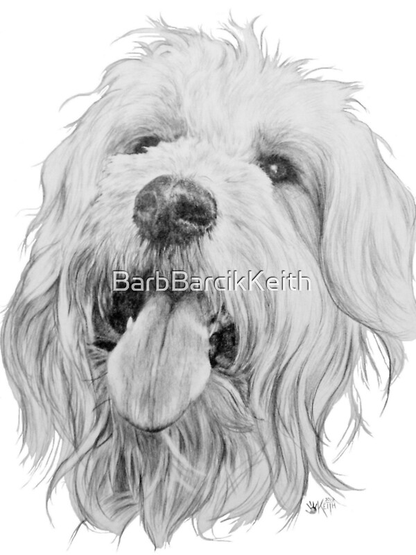 "Goldendoodle Portrait in Graphite" by BarbBarcikKeith | Redbubble