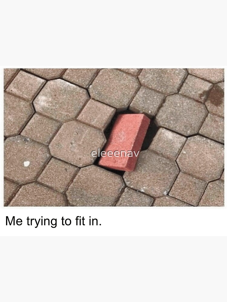 "Me trying to fit in - Memes" Sticker by eleeenav | Redbubble