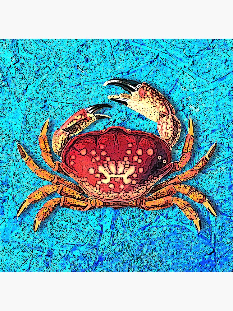 "Cancer pagurus" Sticker for Sale by TerryValentine | Redbubble