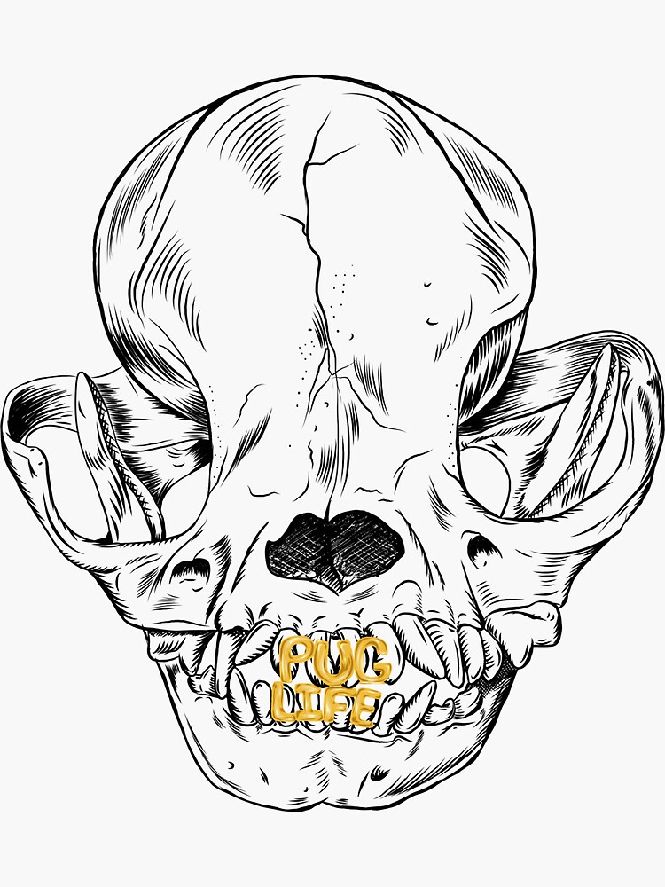 "Pug Life pug skull with gold grillz" Sticker for Sale by camanastasia ...