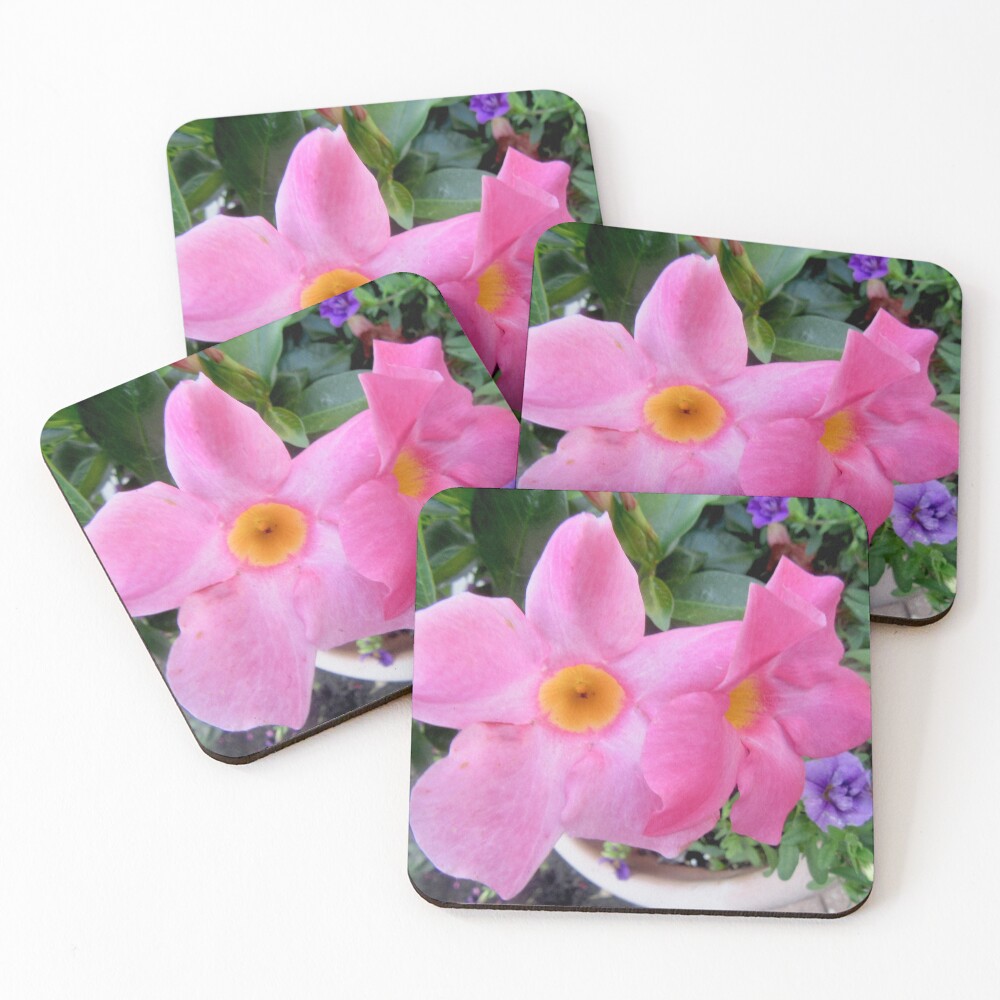 "Pink Flowers" Coasters (Set of 4) by Shulie1 | Redbubble