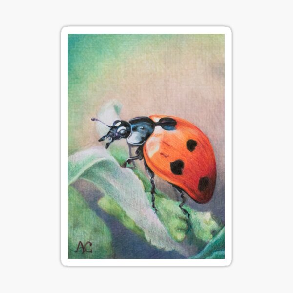 "Lady Bird" Sticker for Sale by WyoClements | Redbubble