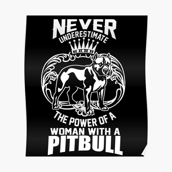 Pitbull Rapper Posters | Redbubble