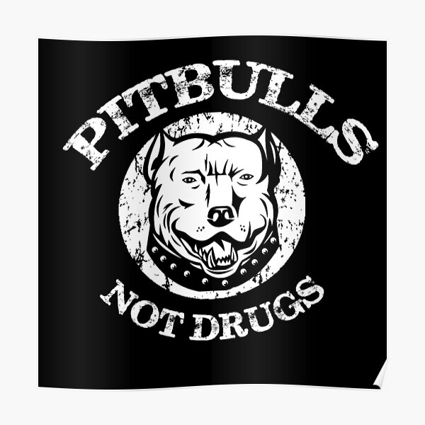 Pitbull Rapper Posters | Redbubble