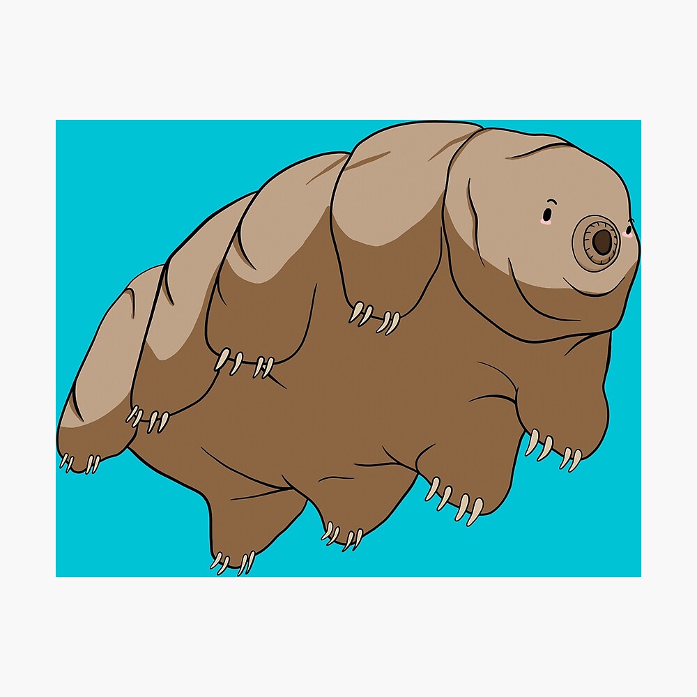 Tardigrade Water Bear Drawing | ubicaciondepersonas.cdmx.gob.mx