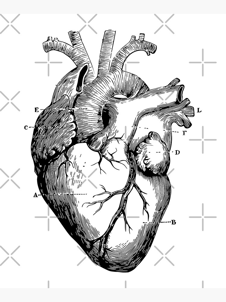 Bolsa de tela «Corazón anatómico» de koovox | Redbubble