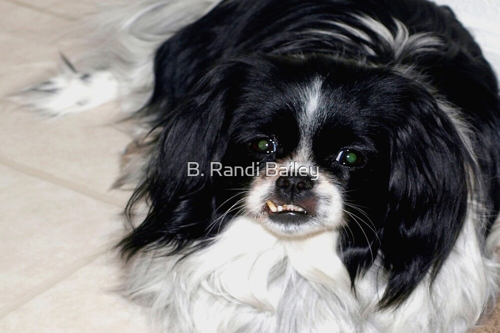 "Snaggle tooth" by B. Randi Bailey | Redbubble