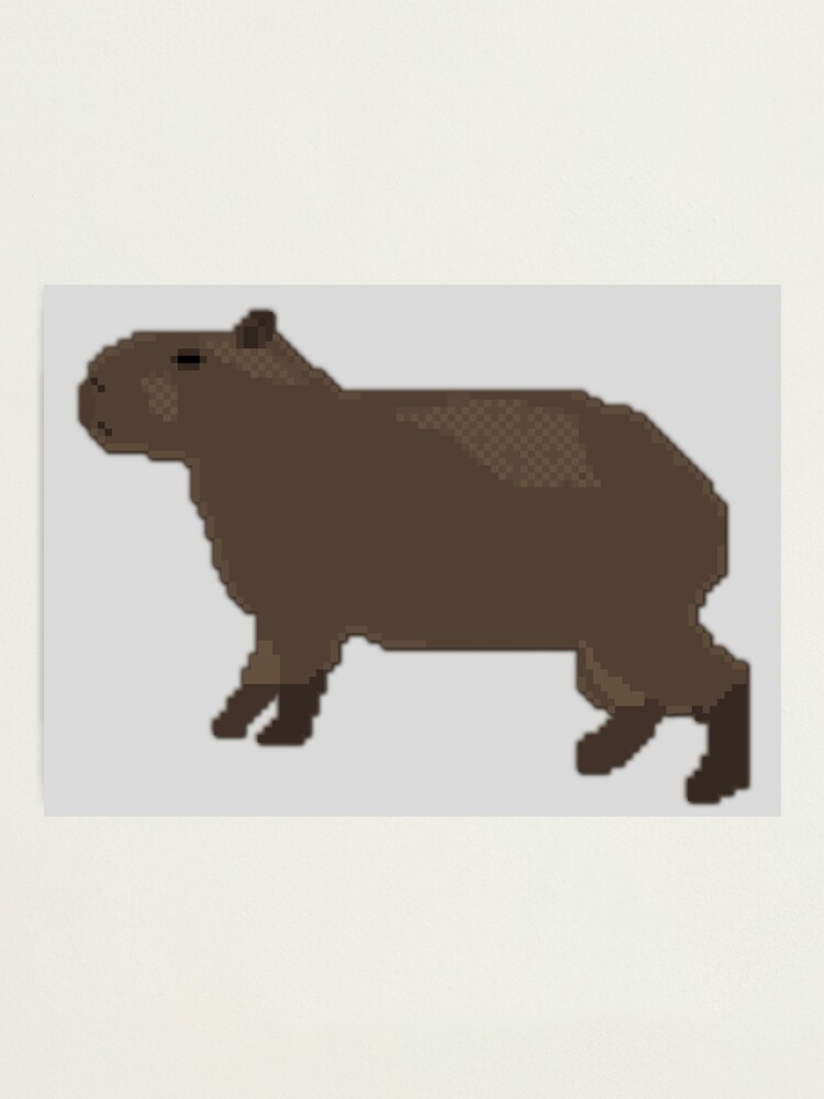 "A pixel capybara" Photographic Print for Sale by wagnerps | Redbubble