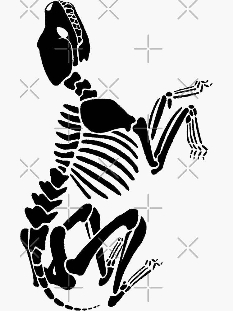 "Dog Raptor" Sticker for Sale by RandyZorra | Redbubble