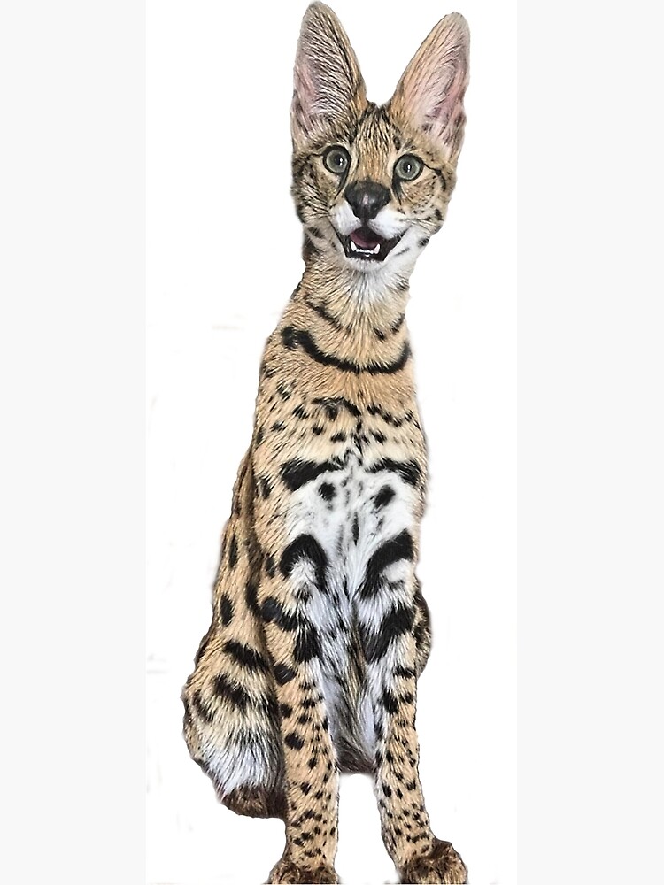 "Unique African serval drawing art" Art Print by CGDesignCreator ...