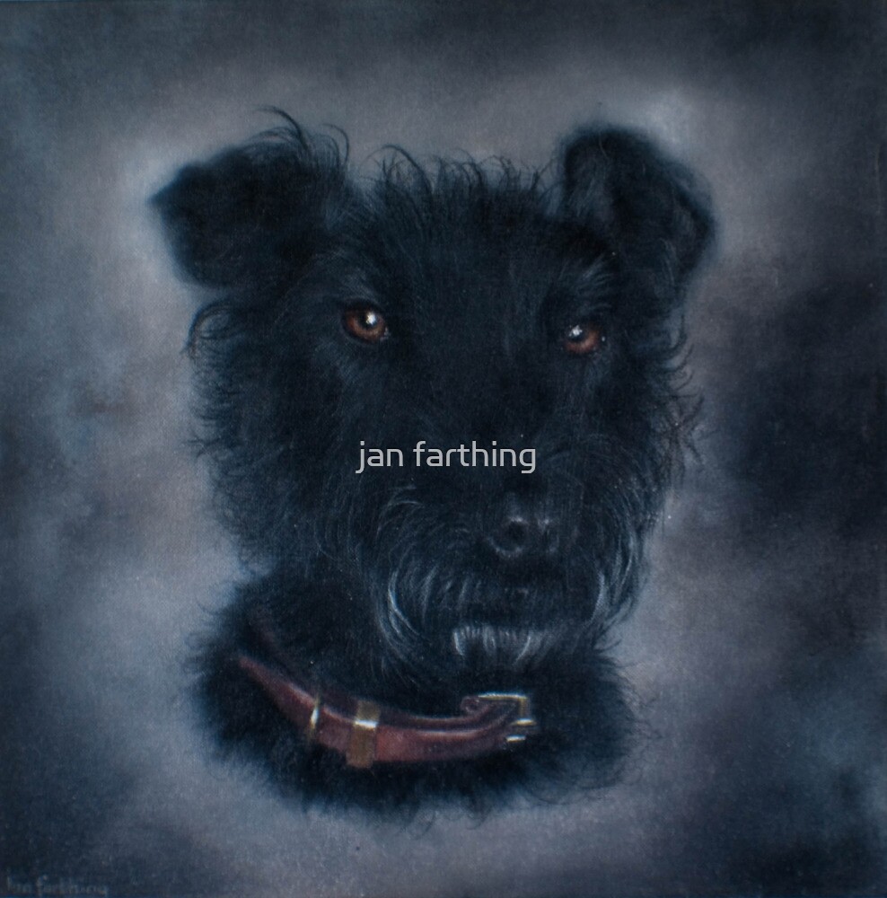 "Patterdale Terrier." by jan farthing | Redbubble