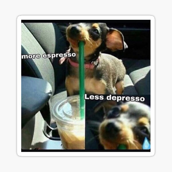 "Funny dog meme" Sticker by KayBieber | Redbubble