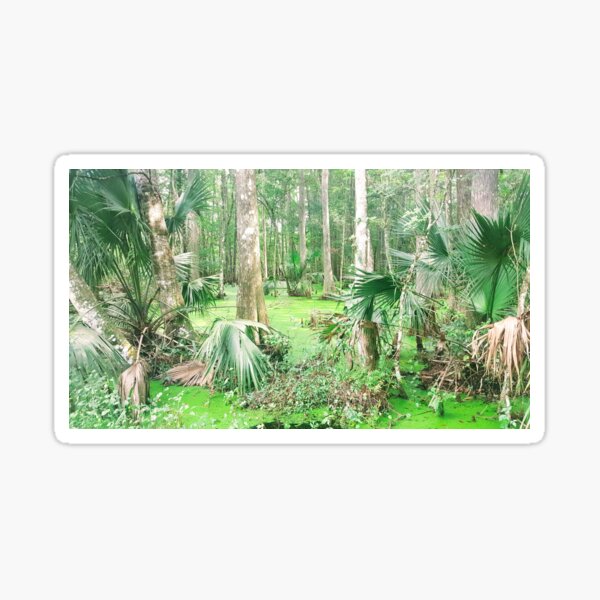 "Bright Green Swamp" Sticker by Larenzy | Redbubble