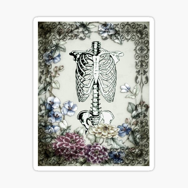 "Elegant Decay" Sticker for Sale by LunarDragoon | Redbubble