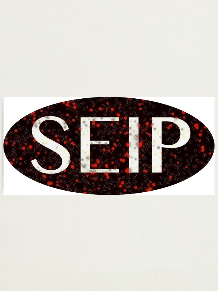 "Spitzer Enhanced Imaging Products (SEIP) Program Logo" Photographic ...