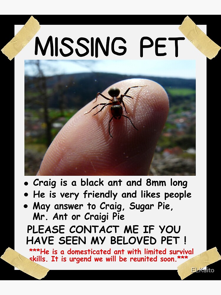 "Missing Pet Ant Funny Sarcastic Insect Lover" Poster by ELKaito ...