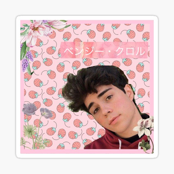 "Benji Krol" Sticker for Sale by Dom-j | Redbubble