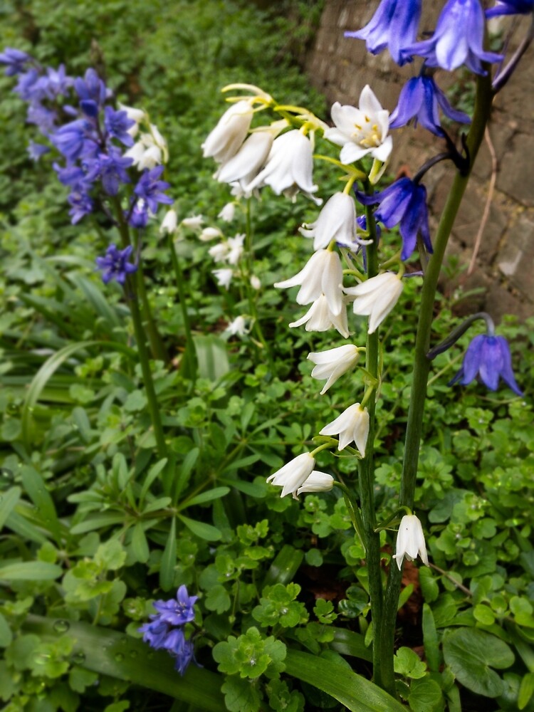 "Bricked Bulbed" Poster by KindaNeatPhotos | Redbubble