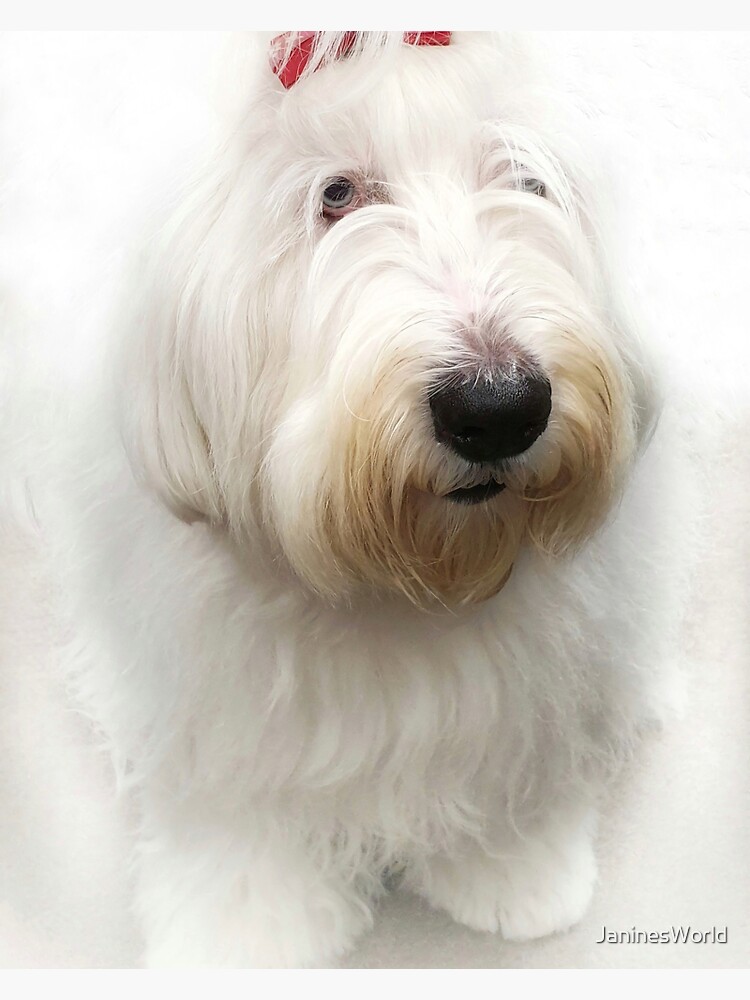 "Maggie" Sticker by JaninesWorld | Redbubble