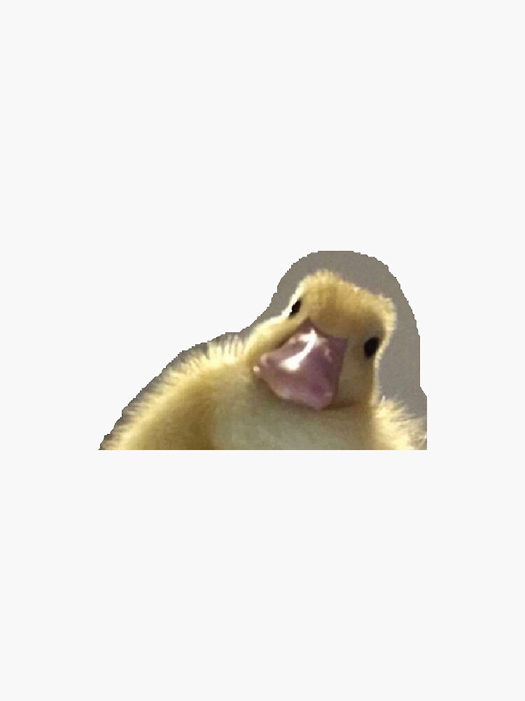 "duck meme" Sticker for Sale by it321820 | Redbubble