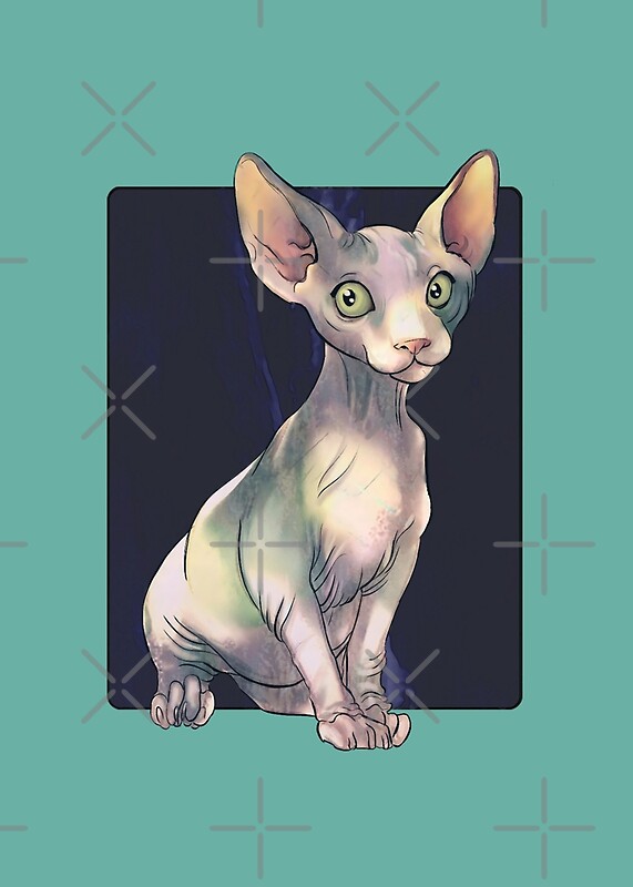 "Sphynx" by relsgrotto | Redbubble