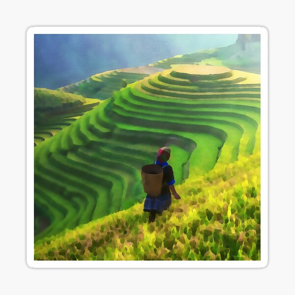 "Hillside Harvest | Terraced Agriculture In China | Watercolor Painting ...