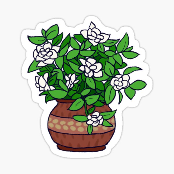 "Gardenia Flower Sticker" Sticker by Znikavia | Redbubble