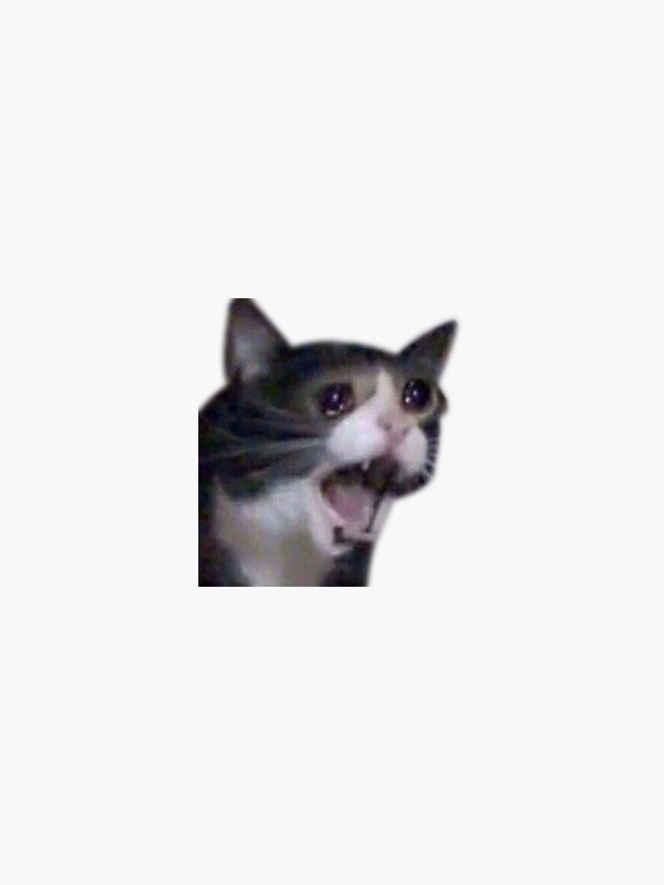 "Cat Cry Meme" Sticker for Sale by sowwea | Redbubble
