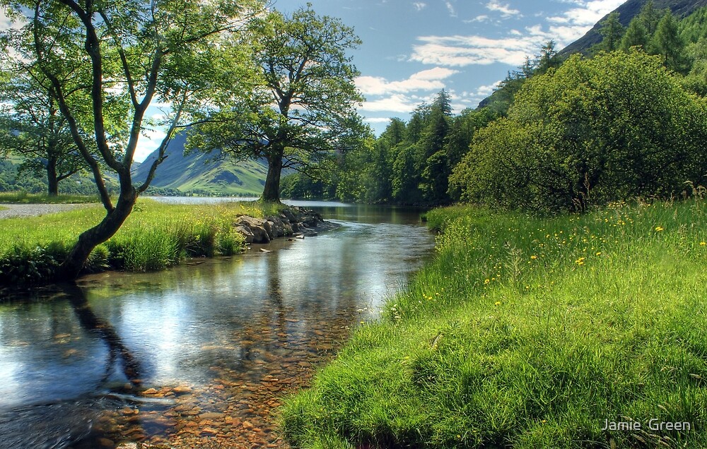 "A Summer Stream " by Jamie Green | Redbubble
