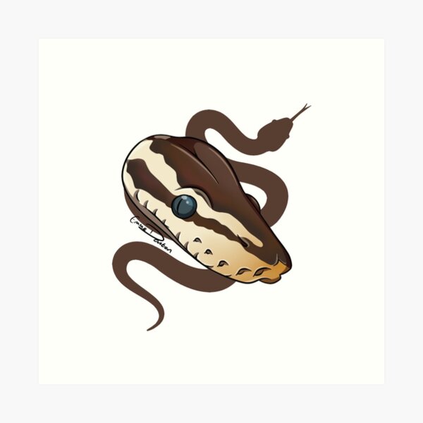 "Ball Python Head and Snake Silhouette " Art Print by DenysDoodles ...