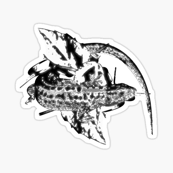 "Gecko lizard infrared" Sticker by Gartenfreund | Redbubble