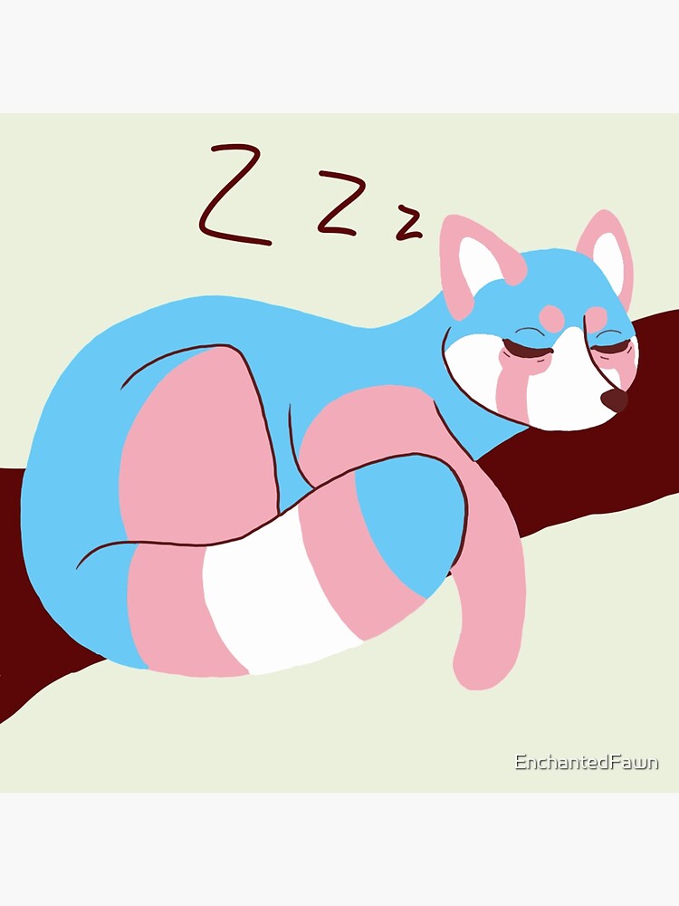 "Transgender Pride Red Panda" Sticker for Sale by EnchantedFawn | Redbubble